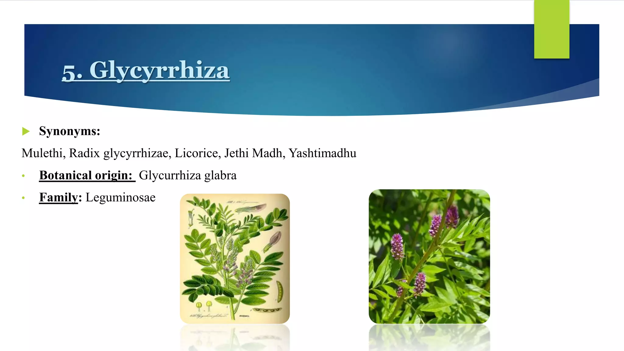 Pharmacognosy Leguminosae family | PPTX