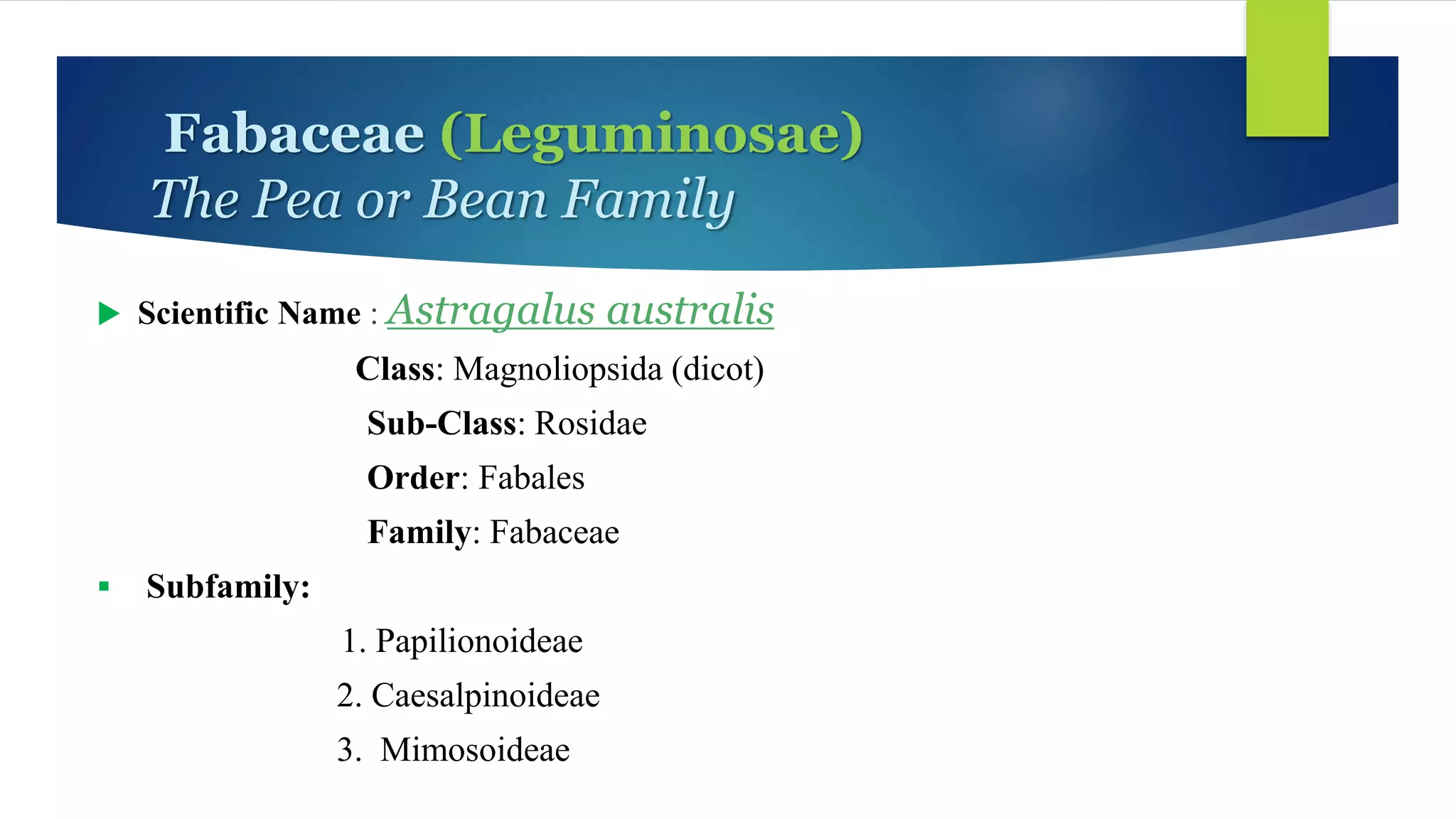 Pharmacognosy Leguminosae family | PPTX