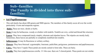 Pharmacognosy Leguminosae family | PPTX