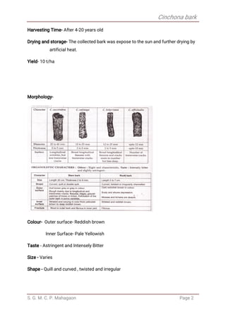 Cinchona Bark Microscopy