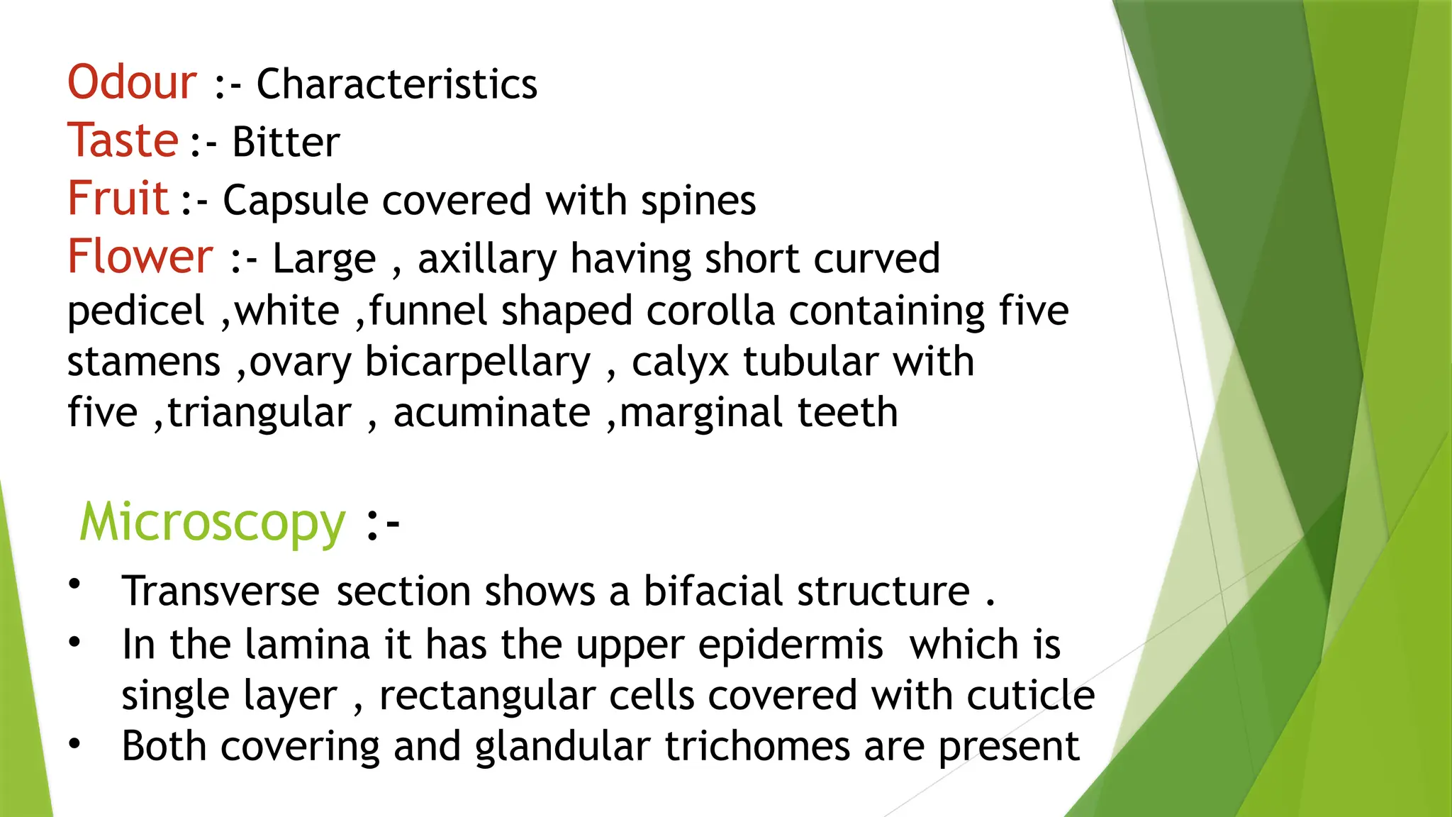 PHARMACOGNOSY OF DATURA.pptx by pritypriya | PPTX