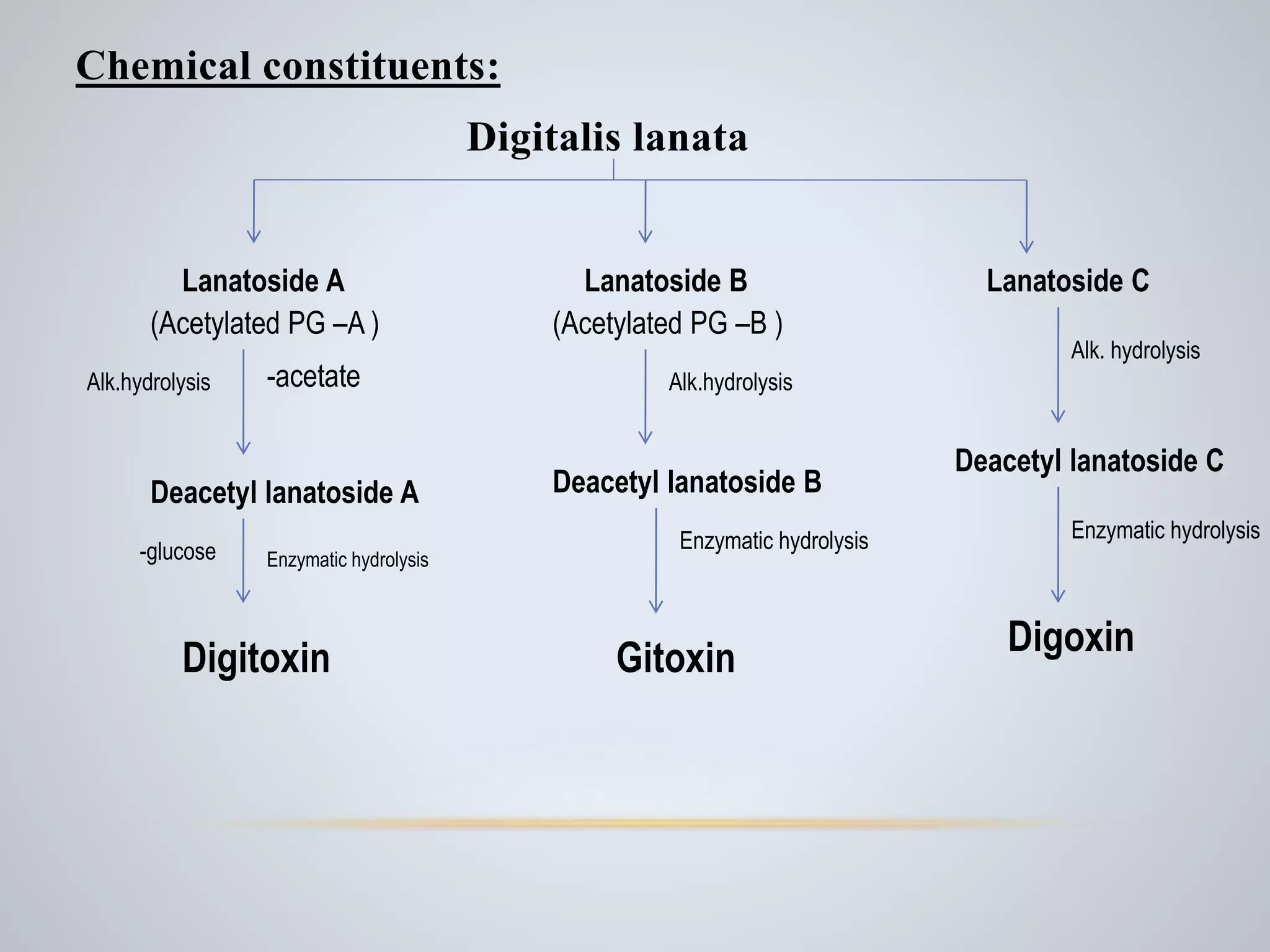 Pharmacognosy of digitalis | PPTX