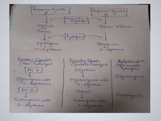 Pharmacognosy of digitalis | PPTX