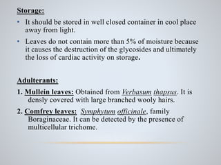 Pharmacognosy of digitalis | PPTX