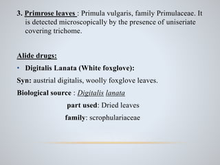 Pharmacognosy of digitalis | PPTX