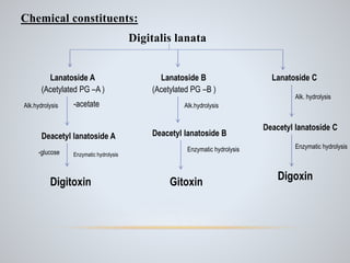 Pharmacognosy of digitalis | PPTX