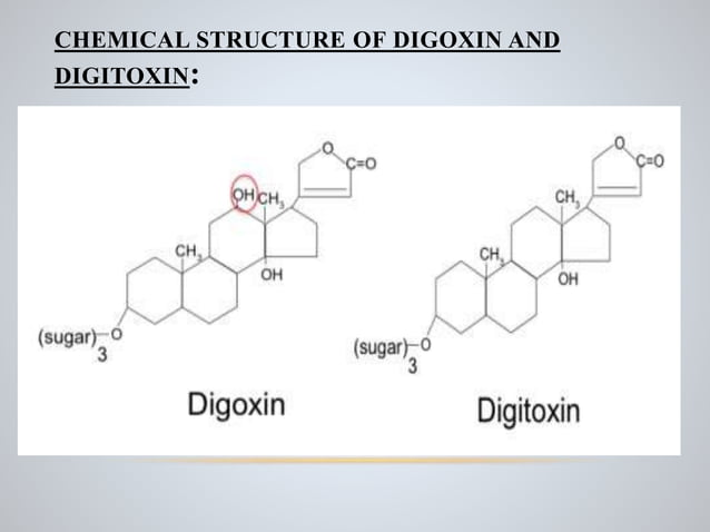 Pharmacognosy of digitalis | PPTX | Gardening | Home & Garden