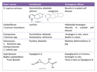Pharmacognosy of teratogenic plants | PPTX