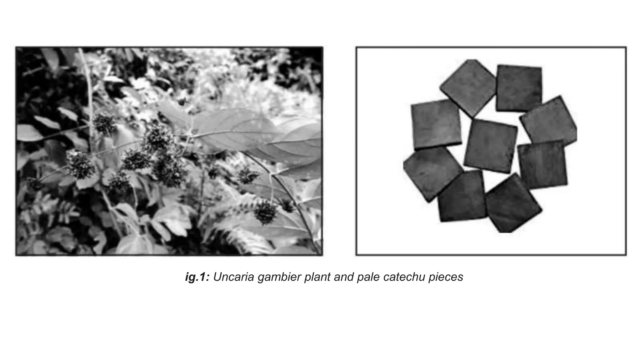 Pharmacognosy & Phytochemistry-I Unit-IPart-1Introduction of ...