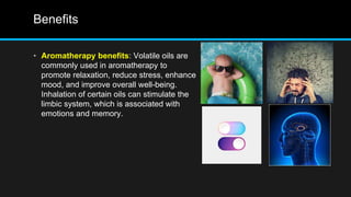 The potential benefits and risks of using volatile oils as natural ...