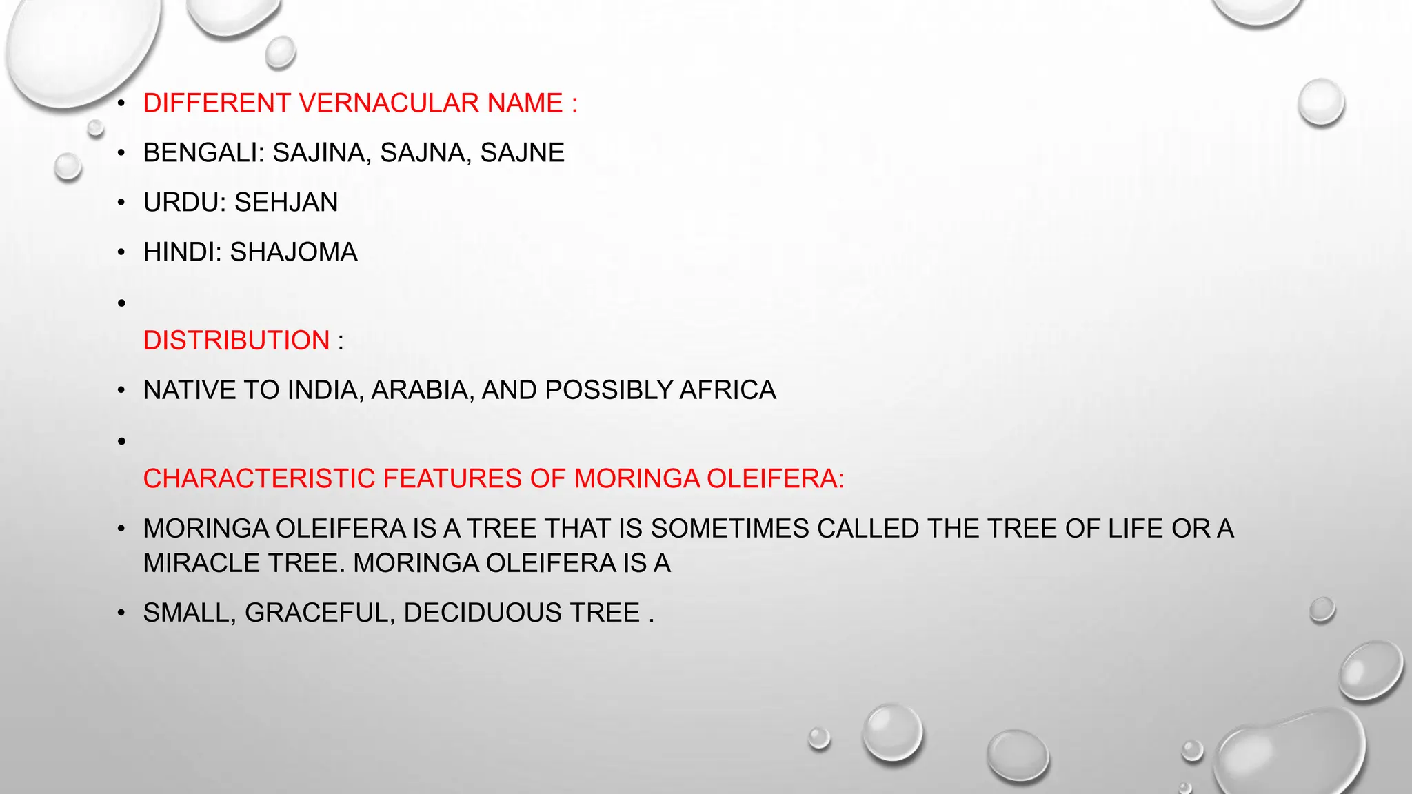 Pharmacognosy Presentation.pptx