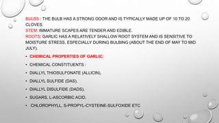 Pharmacognosy Presentation.pptx