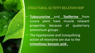 scope of Pharmacognosy | PPTX