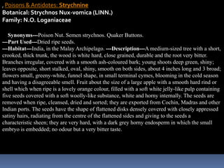 Pharmacognozy | PPTX | Chemistry | Science