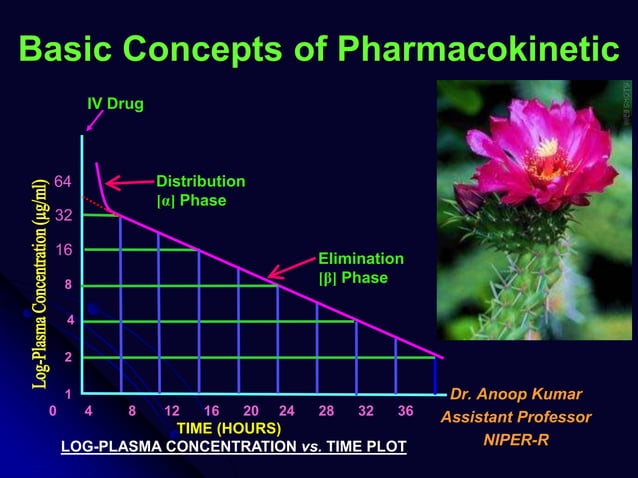 Pharmacokinetic (basic concepts) | PPT | Free Download
