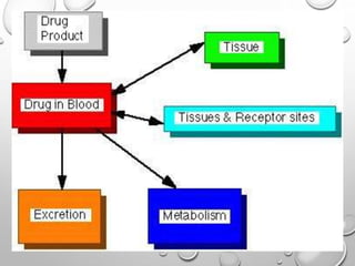 Pharmacokinetic models | PPT