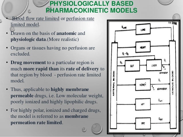 Pharmacokinetic models