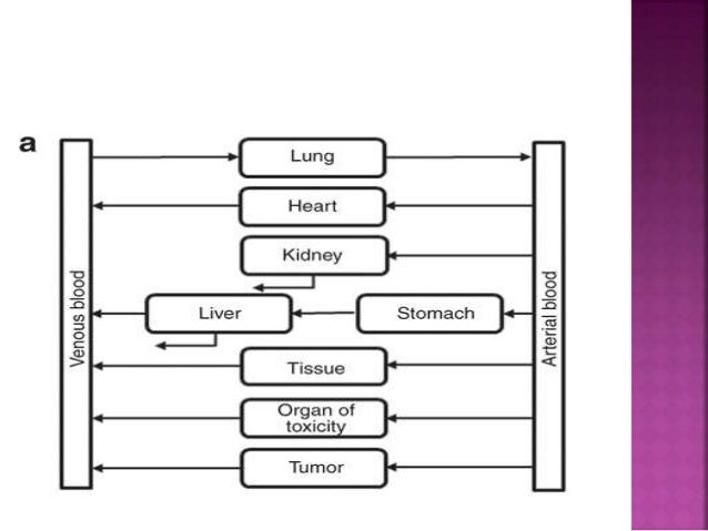Pharmacokinetic models