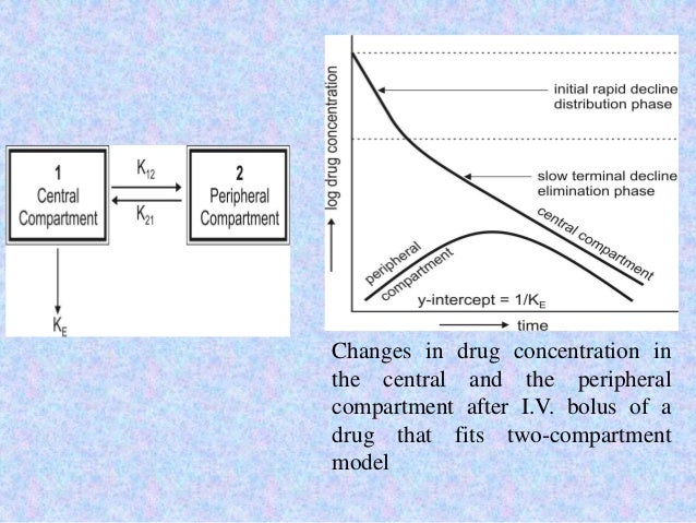 Pharmacokinetic models