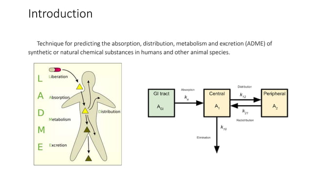 Pharmacokinetic models | PPTX | Pharmaceutical Drugs | Medical Health