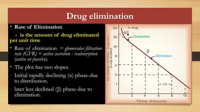 Overview of Pharmacokinetic Parameters.pdf