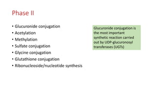 Pharmacokinetic principles 2 | PPTX