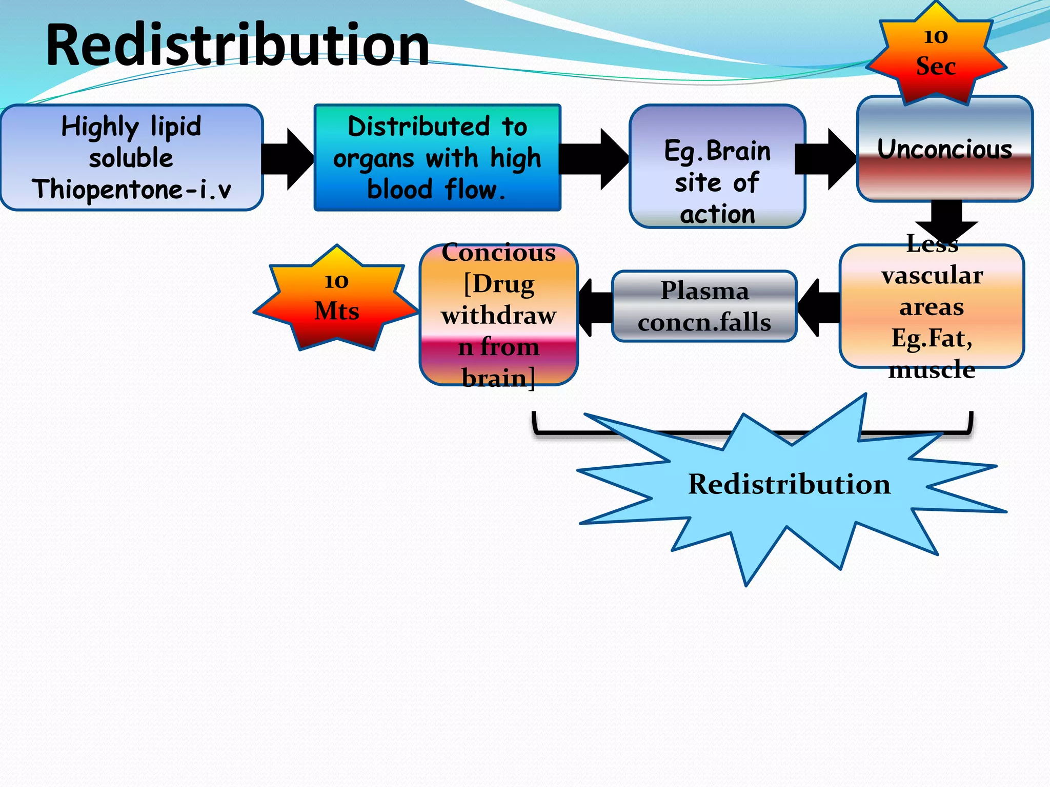 Pharmacokinetics-1 | PPTX