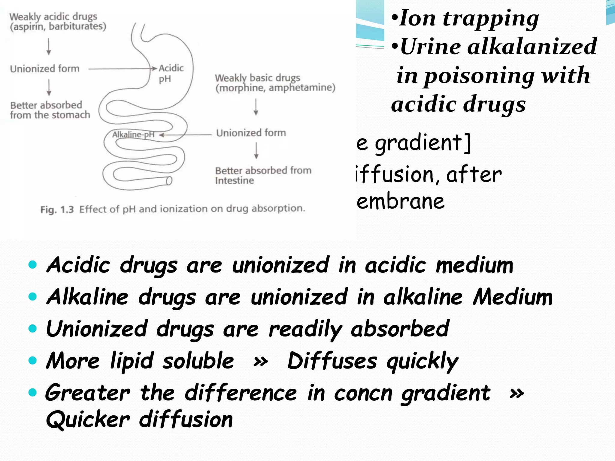 Pharmacokinetics-1 | PPTX