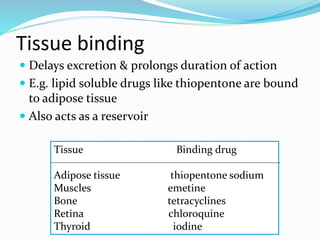Pharmacokinetics-1 | PPT