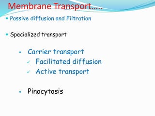 Pharmacokinetics-1 | PPT