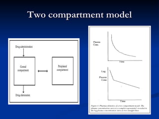 Pharmacokinetics | PPT