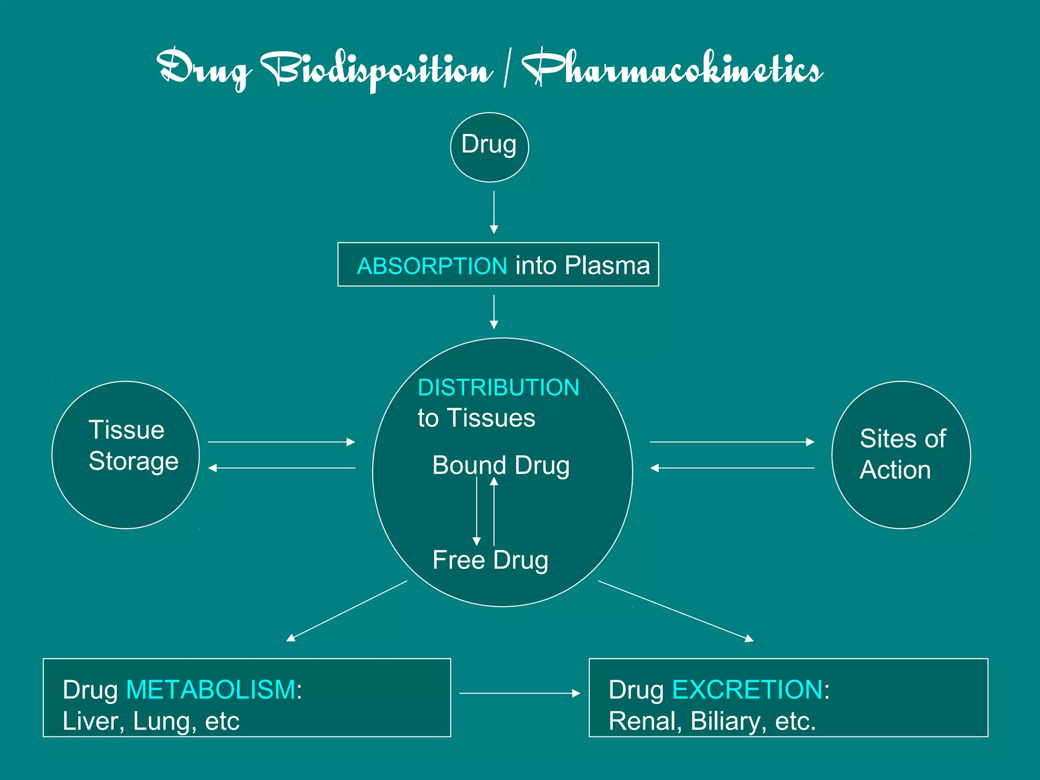 Pharmacokinetics | PPT