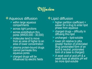 Pharmacokinetics | PPT