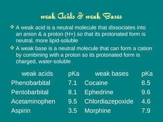 Pharmacokinetics | PPT