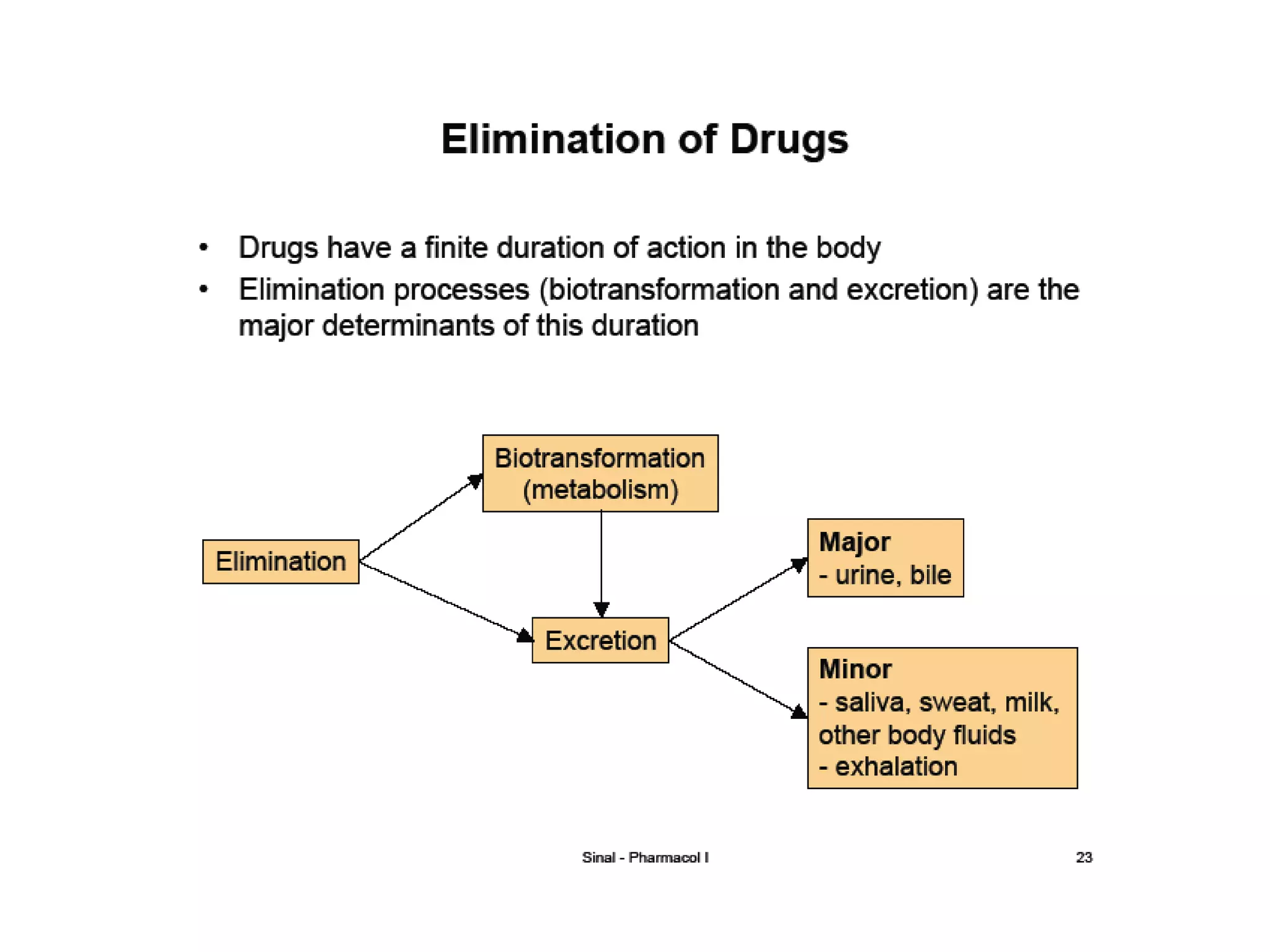 Pharmacokinetics | PPT