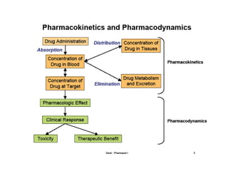 Pharmacokinetics | PPT