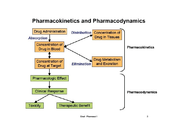 Pharmacokinetics