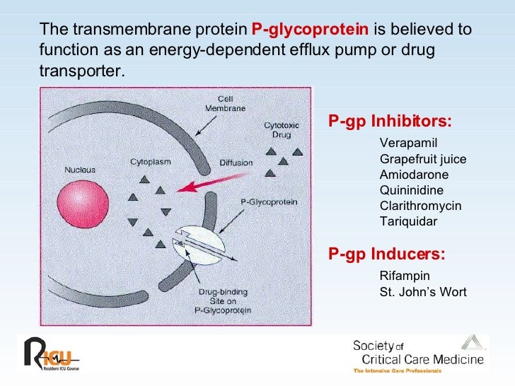 Pharmacokinetics