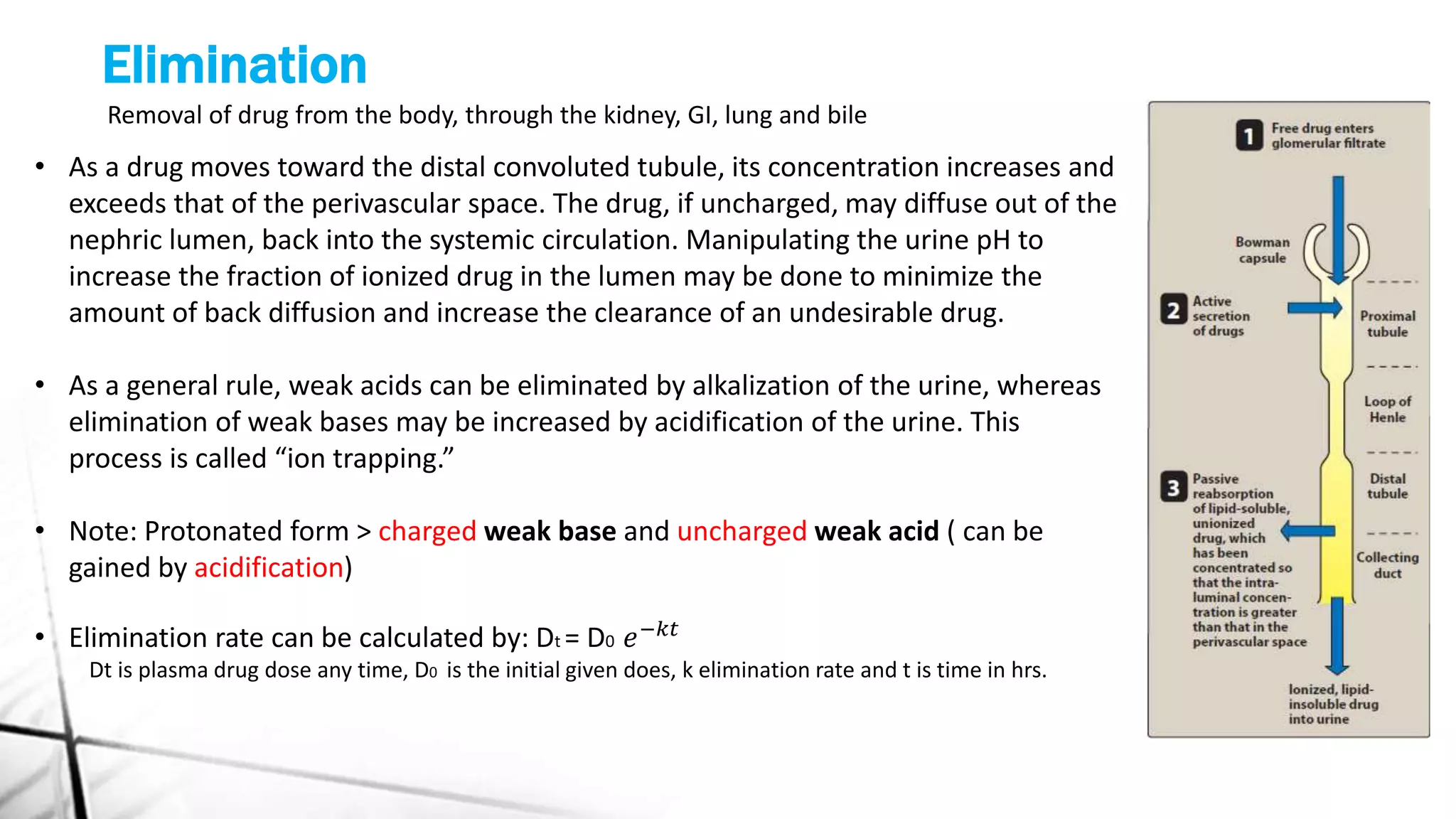 Pharmacokinetics | PPT