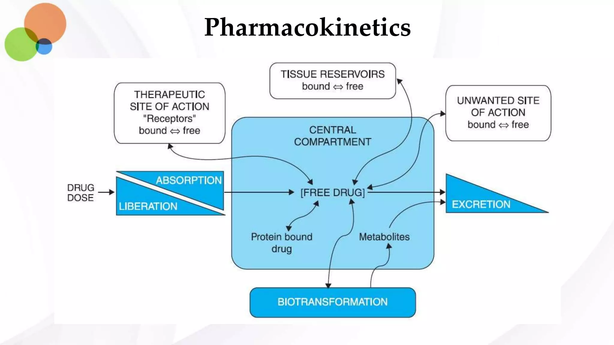 Pharmacokinetics | PPTX