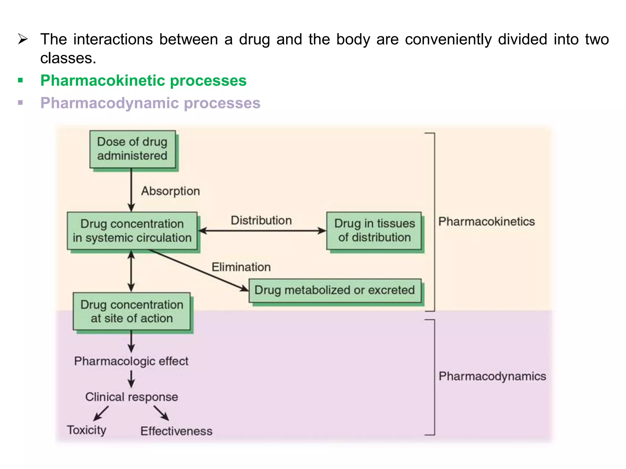 Pharmacokinetics | PPTX
