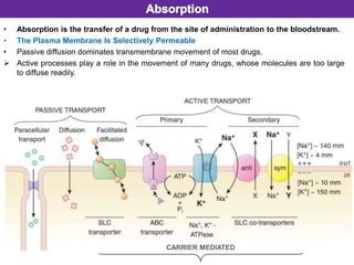 Pharmacokinetics | PPTX