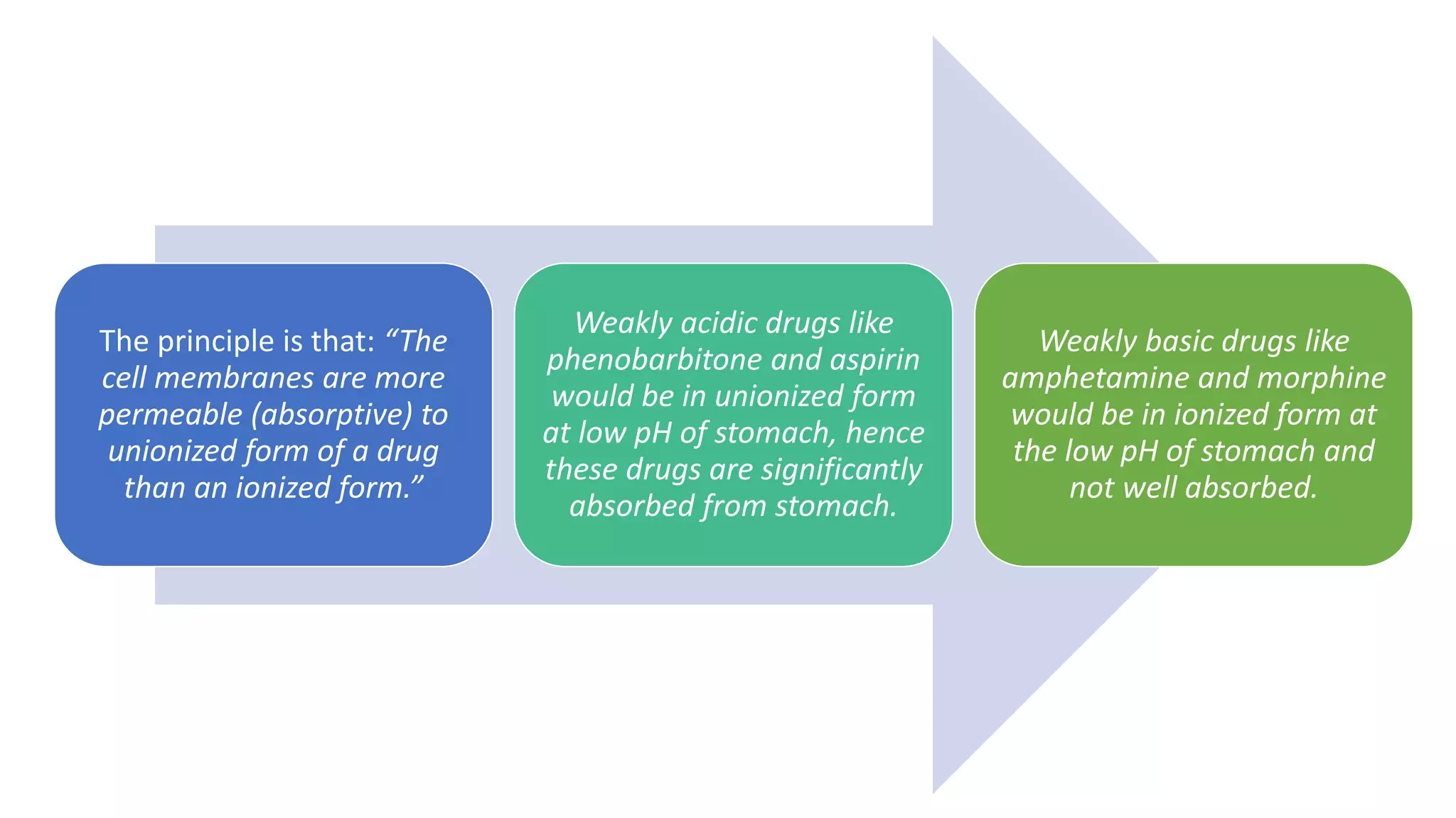 Drug Pharmacokinetics | PPTX