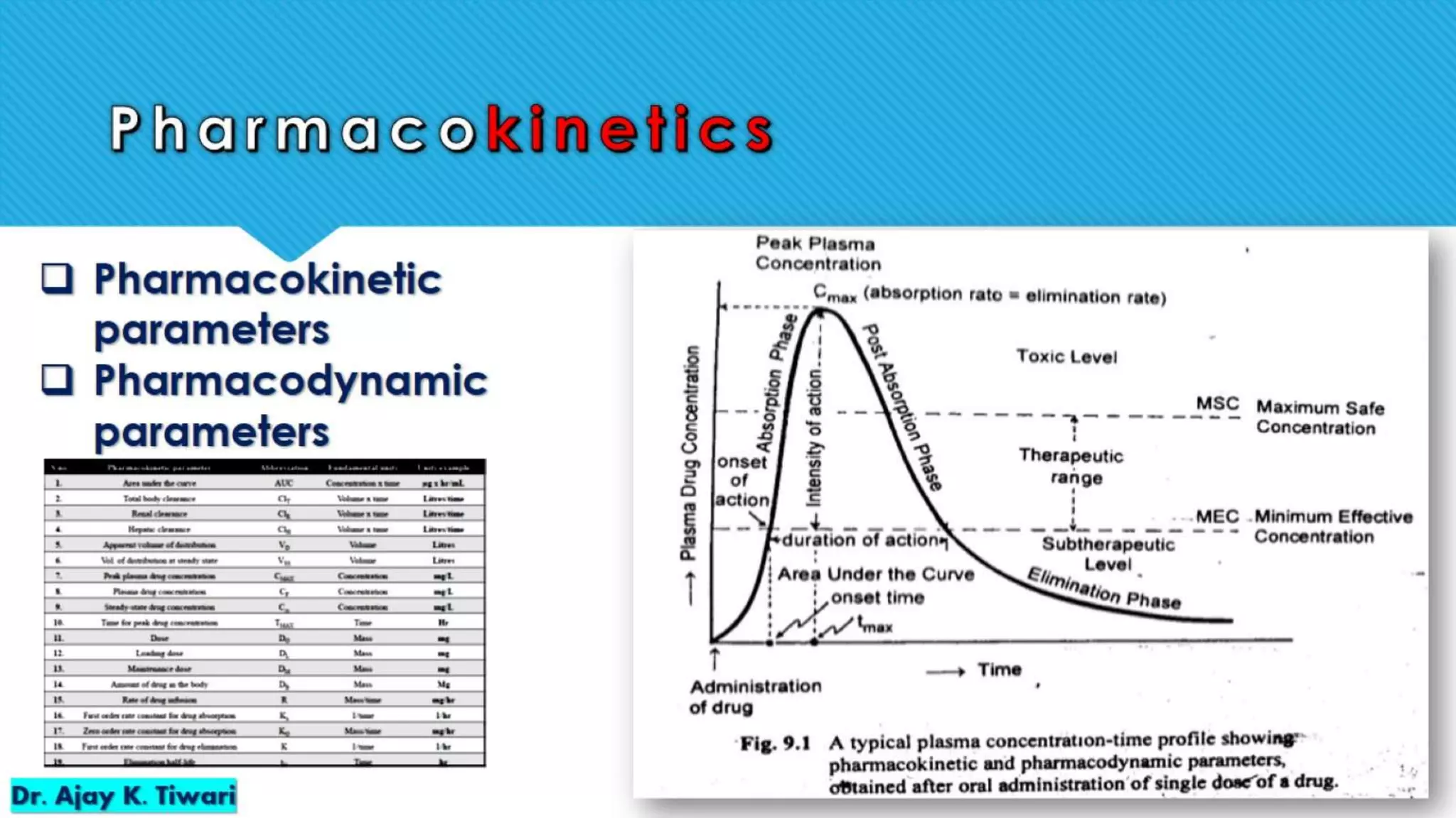 Pharmacokinetics | PPT | Free Download