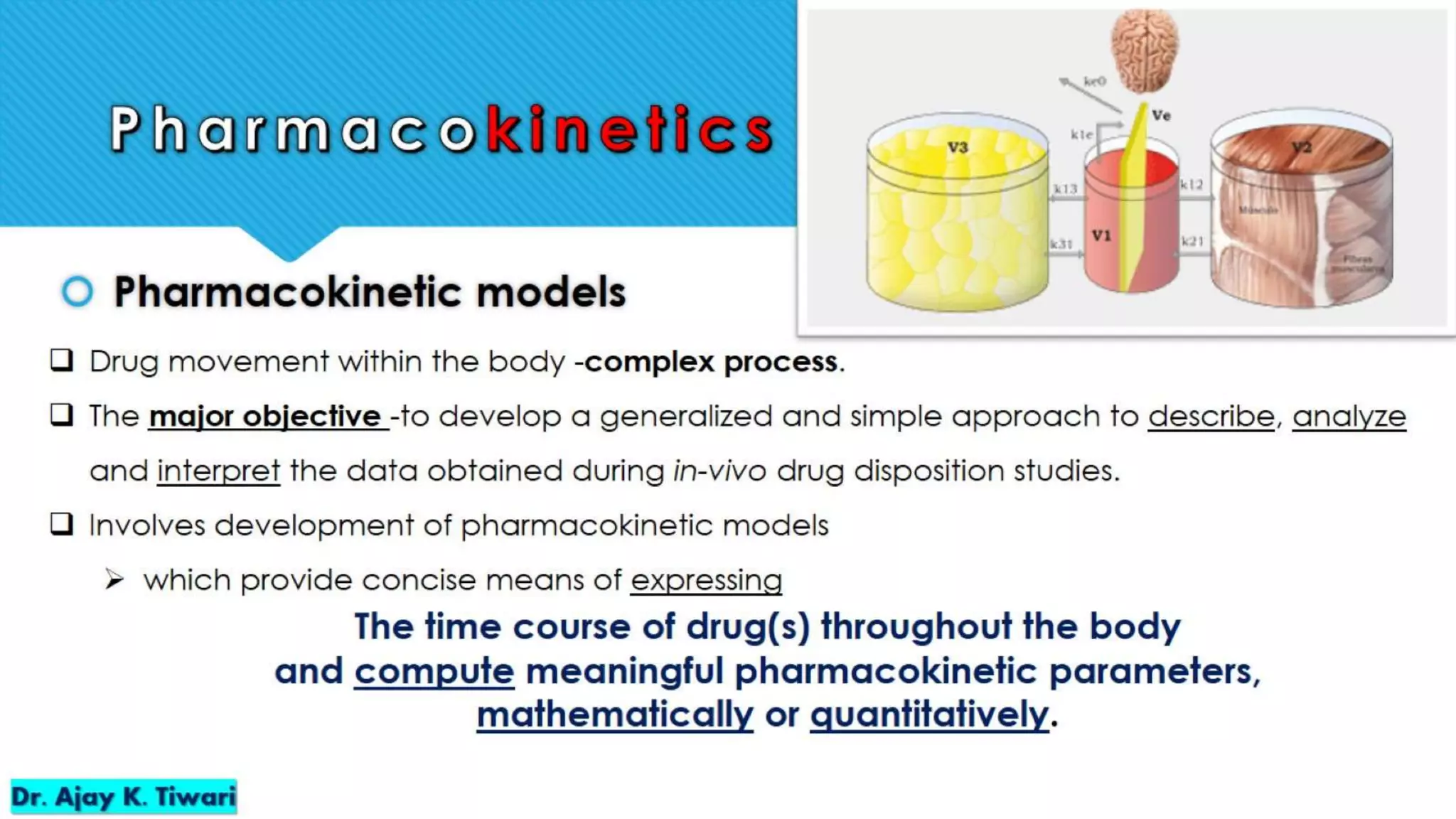 Pharmacokinetics | PPT | Free Download