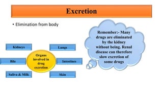 PHARMACOKINETICS.pptx