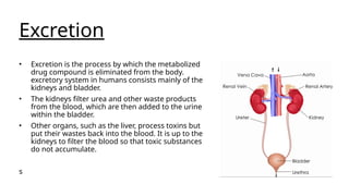 Understanding Pharmacokinetics of Drug | PPTX