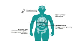 Understanding Pharmacokinetics of Drug | PPTX