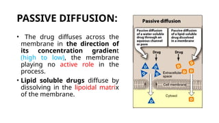 Pharmacokinetics - adoption, distribution, metabolism (bioavailability ...