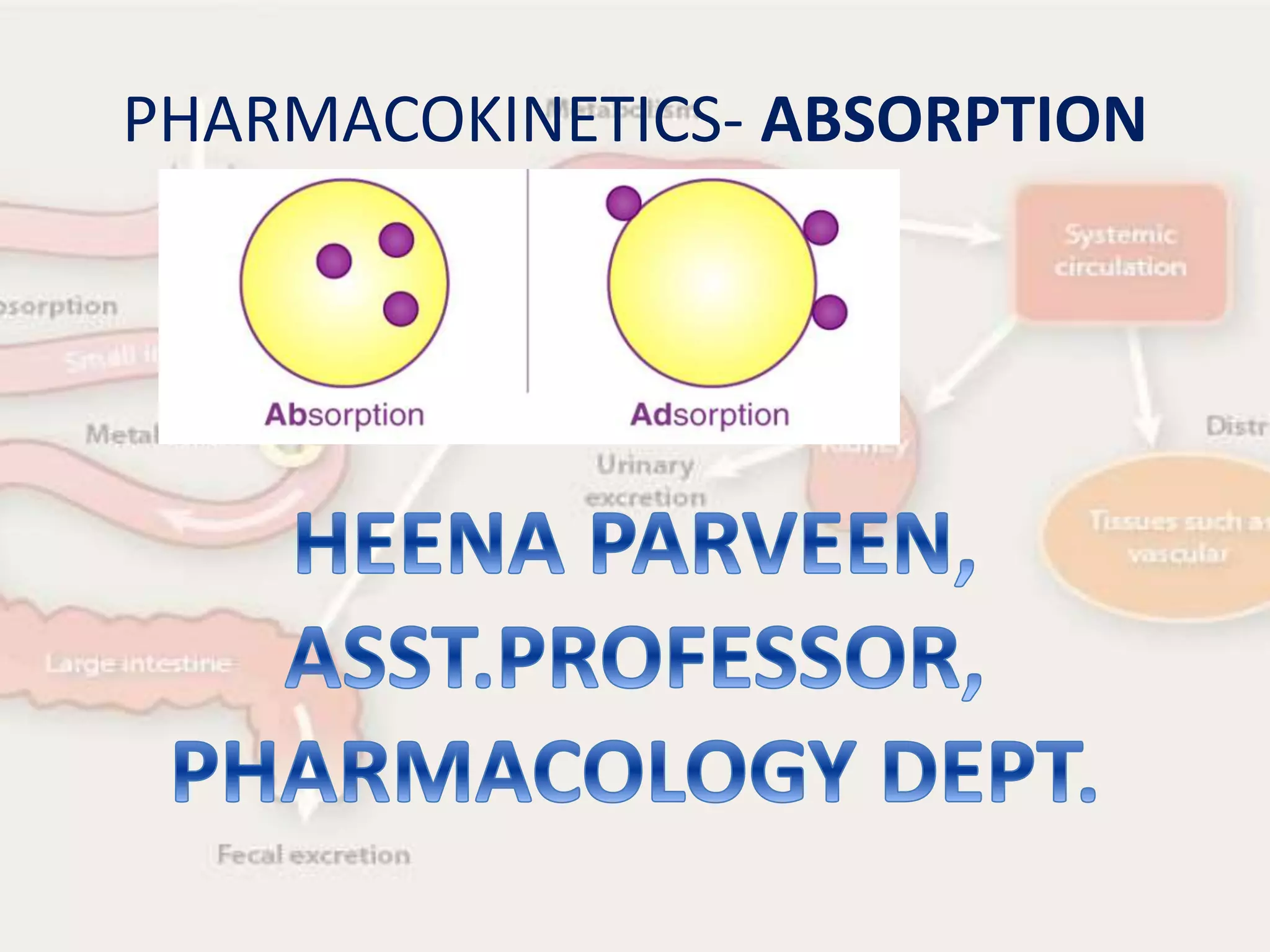 Pharmacokinetics absorption,distribution,metabolism,excretion | PPTX